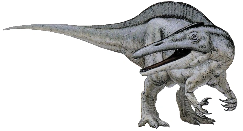 Prolieraspinus (Liera) | Liera Wiki | Fandom