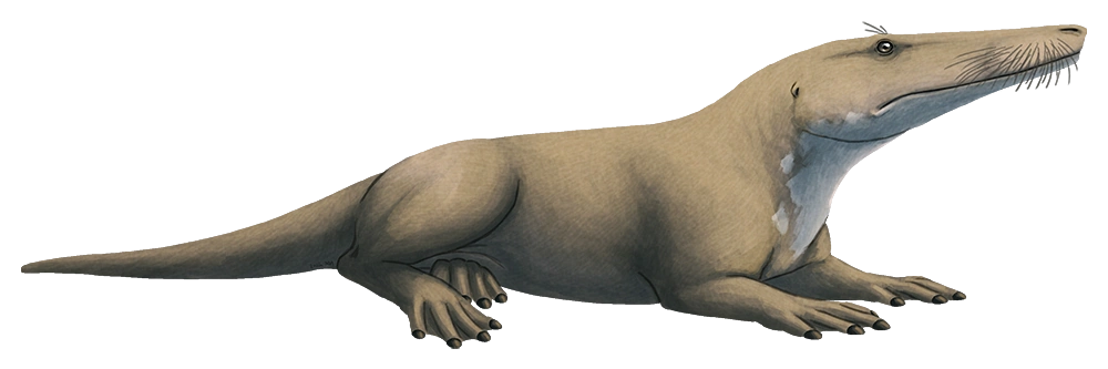 Bearded dragon whale (Liera) | Liera Wiki | Fandom