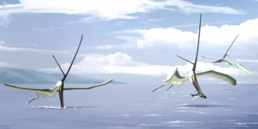 Hatchet-crested griffin (Liera) | Liera Wiki | Fandom