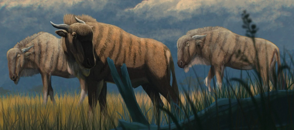 Tigabeest (Liera) | Liera Wiki | Fandom