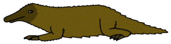 False platypus (Liera) | Liera Wiki | Fandom