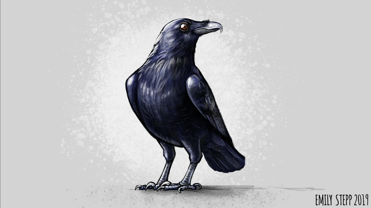 Giant crow (Liera) | Liera Wiki | Fandom