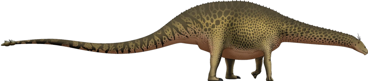 Club-tailed grazing titan (Liera) | Liera Wiki | Fandom