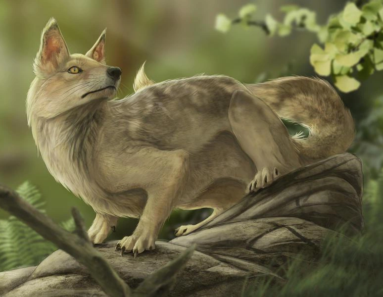 Nerpa (Liera) | Liera Wiki | Fandom