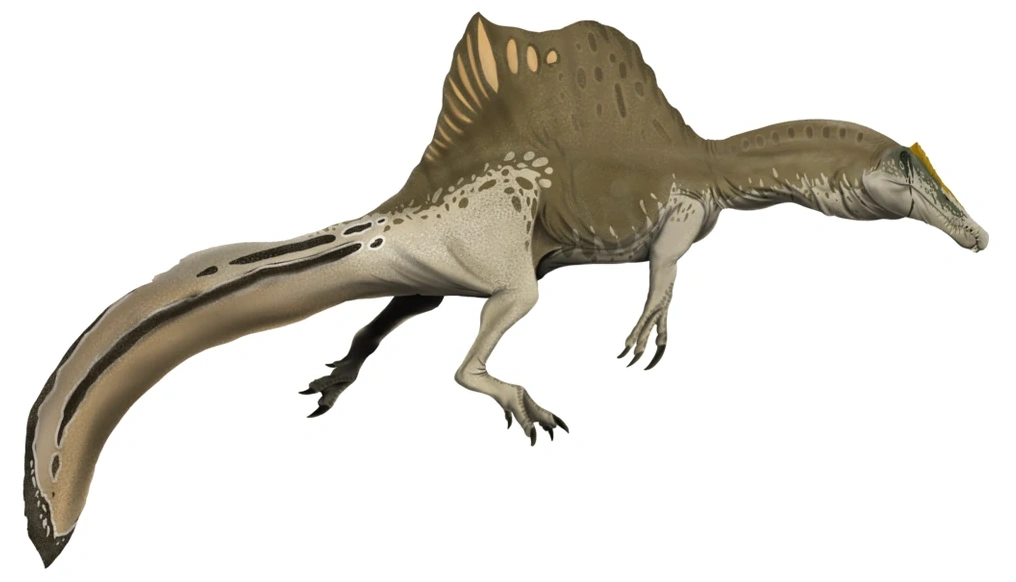 Thanatospinus (Liera) | Liera Wiki | Fandom