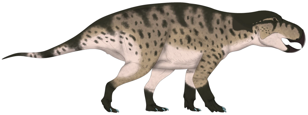 Meckoraceratops (Liera) | Liera Wiki | Fandom