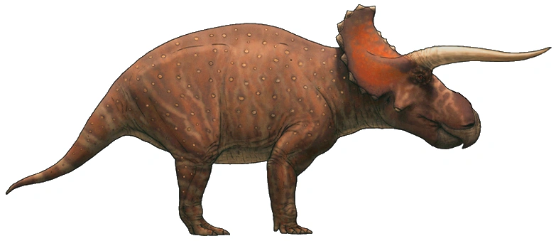 Ceratopsia (Liera) | Liera Wiki | Fandom