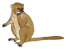 False kidoky (Liera) | Liera Wiki | Fandom