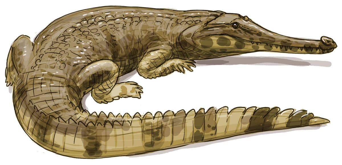 Tigan crocodile (Liera) | Liera Wiki | Fandom