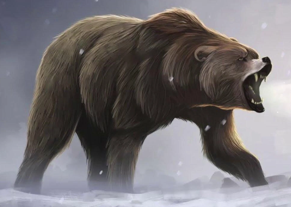 Doopolarca (Liera) | Liera Wiki | Fandom