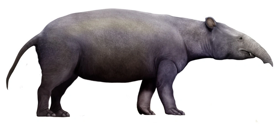 Neomoeritherium (Liera) | Liera Wiki | Fandom