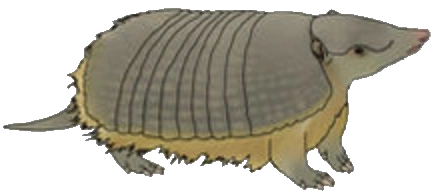 Armored badger (Liera) | Liera Wiki | Fandom