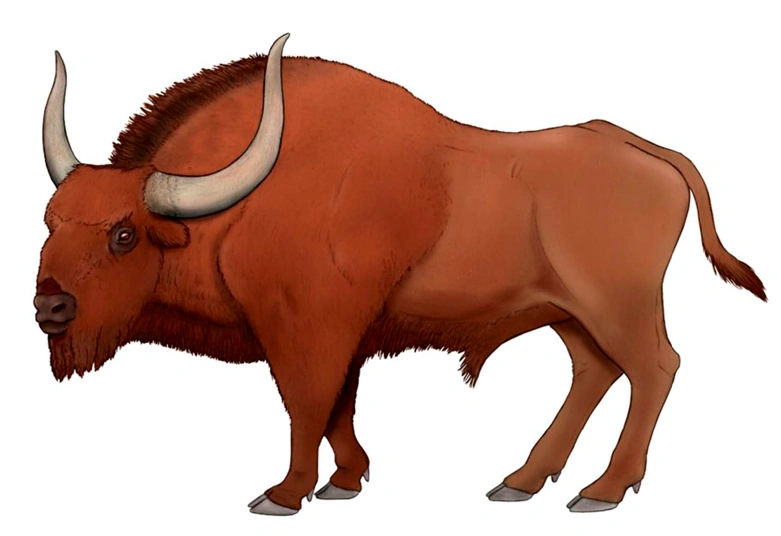 Lieran titan bison (Liera) | Liera Wiki | Fandom
