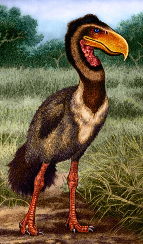 Novolaurasian death bird (Liera) | Liera Wiki | Fandom