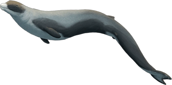 Sea devil (Liera) | Liera Wiki | Fandom