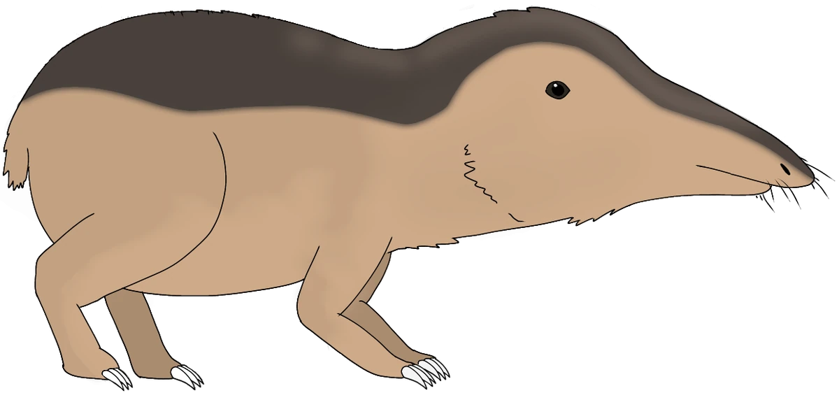 Tenrecidae (Liera) | Liera Wiki | Fandom