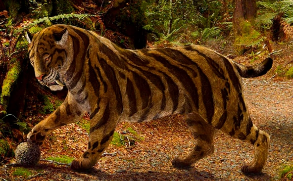 Yaguar (Liera) | Liera Wiki | Fandom