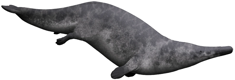 Paddle-tailed crocowhale (Liera) | Liera Wiki | Fandom