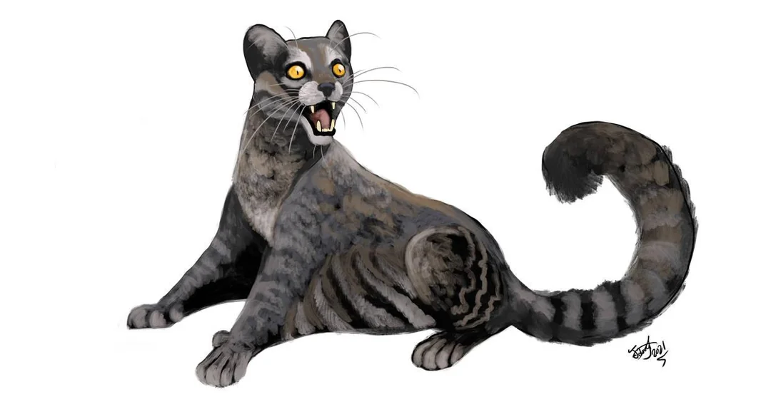 Flying cat (Liera) | Liera Wiki | Fandom