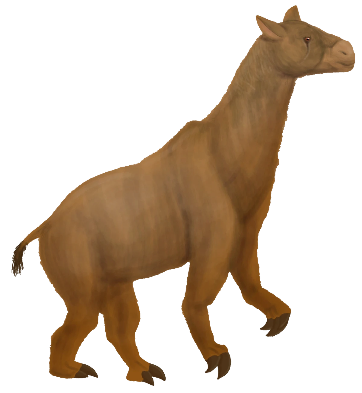 Long-necked chalice (Liera) | Liera Wiki | Fandom