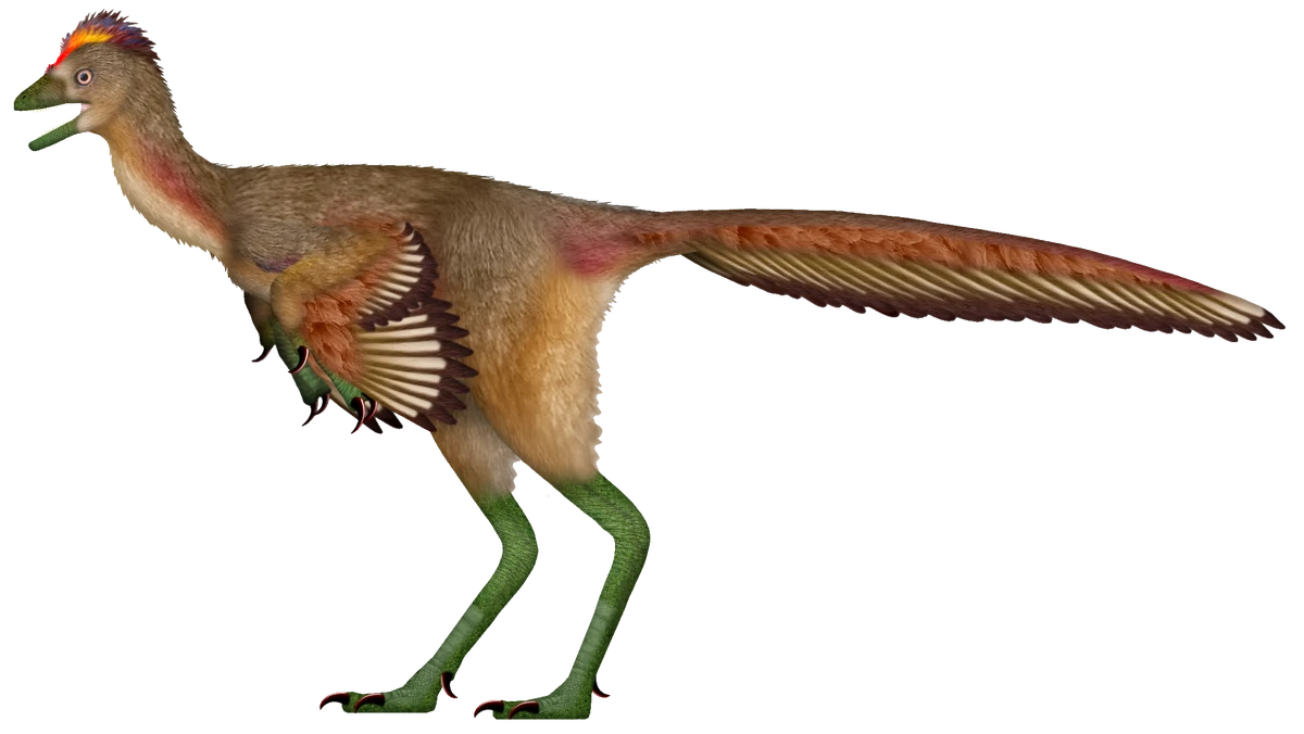 Galliraptor (Liera) | Liera Wiki | Fandom