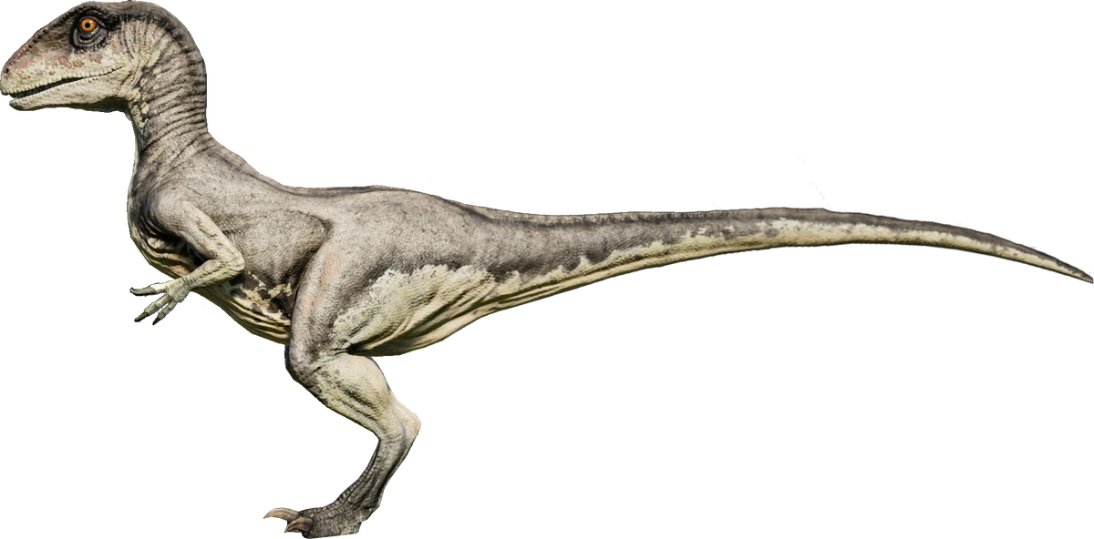 Carnosauria (Liera) | Liera Wiki | Fandom