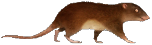 Munkmunk (Liera) | Liera Wiki | Fandom