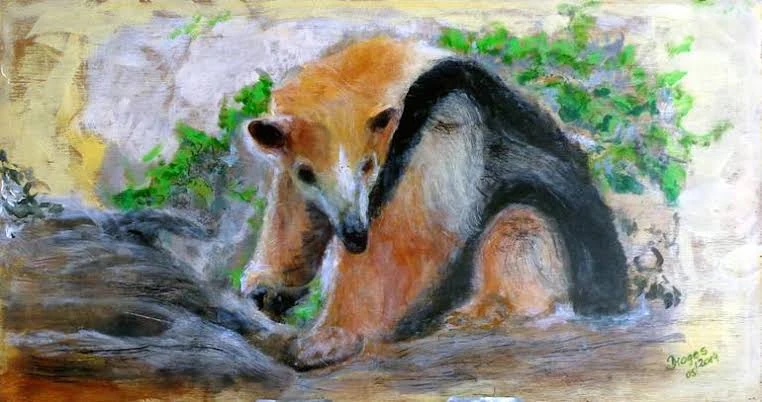 Vermilingua (Liera) | Liera Wiki | Fandom