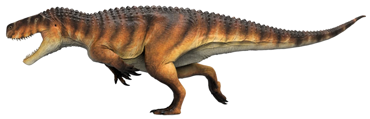 Macrotonyx (Liera) | Liera Wiki | Fandom