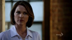 Dr. Gillian Foster | Lie to Me Wiki | Fandom