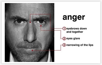 Anger | Lie to Me Wiki | Fandom