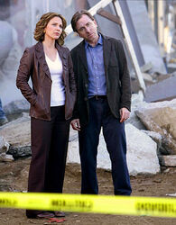 Dr. Gillian Foster | Lie to Me Wiki | Fandom