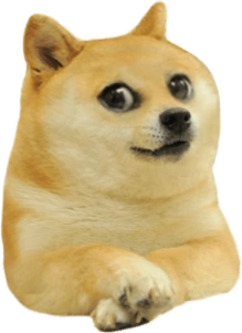 Baby Doge | Life in bob world Wiki | Fandom