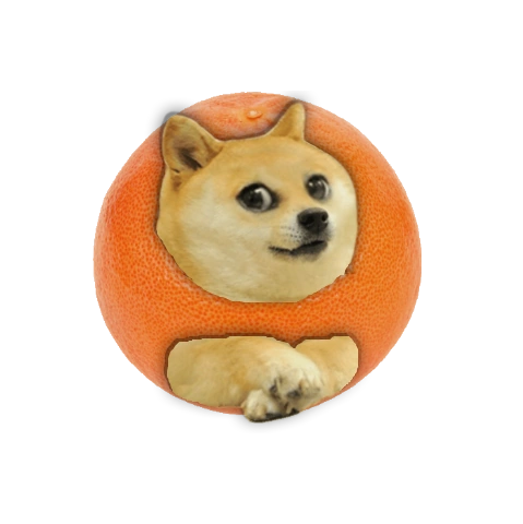 Grape fruit doge | Life in bob world Wiki | Fandom