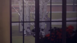 David Madsen/Gallery | Life is Strange Wiki | Fandom