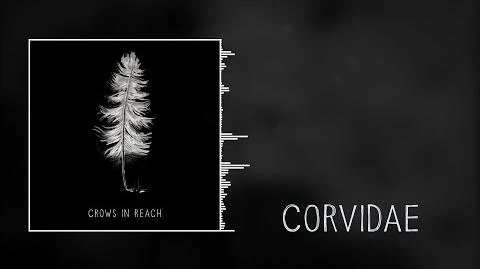 Fan:Corvidae | Life is Strange Wiki | Fandom