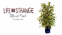 Lisa the Plant | Life is Strange Wiki | Fandom