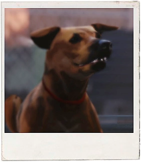 Помпиду | Life is Strange вики | Fandom