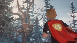 Captain Spirit - Image Gallery | Life is Strange Wiki | Fandom