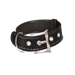 Bond of Daylight | Life Makeover Wiki | Fandom