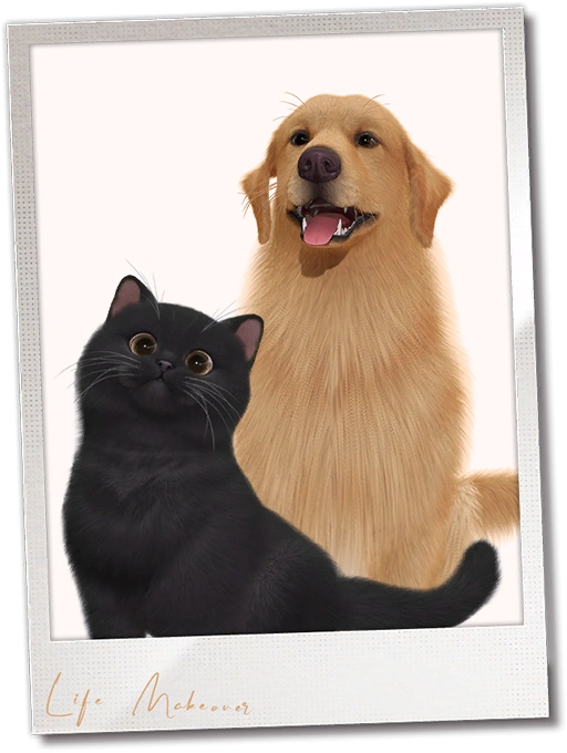 Pet: Shop | Life Makeover Wiki | Fandom