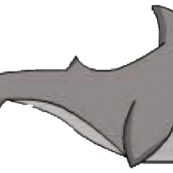 how to draw a bat ray