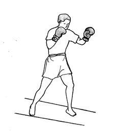 Garde Haute (Mixte) | Life of Boxe Wikia | Fandom