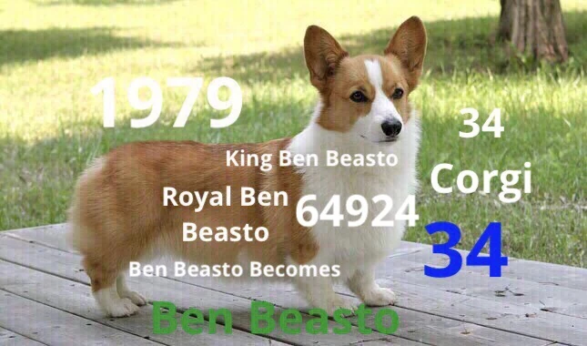 Ben Beasto40856 | Life Of Pets Alien VS Predator Earth A Bomek Wiki ...