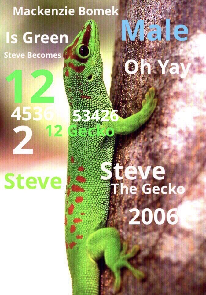 Steve Dude200 | Life Of Pets Alien VS Predator Earth A Bomek Wiki | Fandom