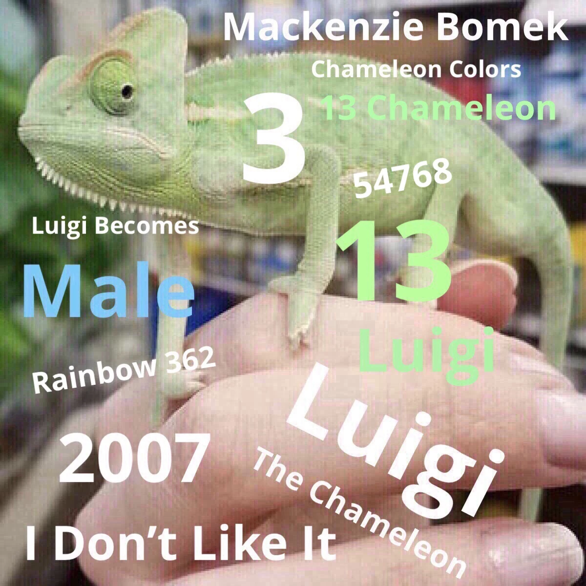 Luigi Yogi200 | Life Of Pets Alien VS Predator Earth A Bomek Wiki | Fandom