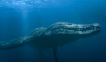 Pliosaurus | Life On Our Planet Wiki | Fandom