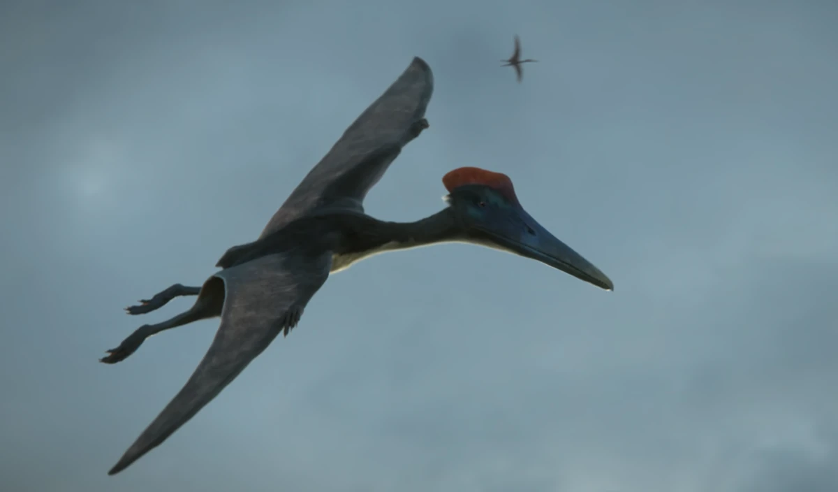 Pterodactylus | Life on Our Planet Wiki | Fandom