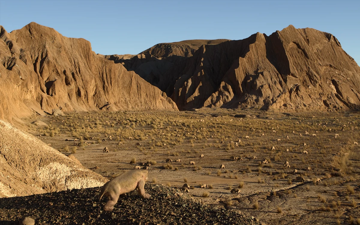 Karoo Basin | Life on Our Planet Wiki | Fandom