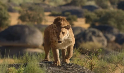 Smilodon | Life on Our Planet Wiki | Fandom